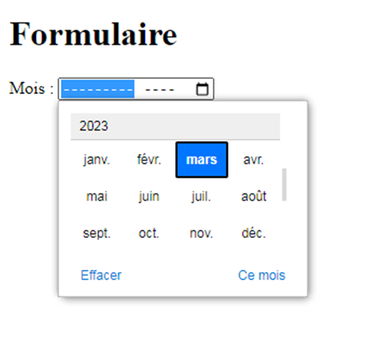 ajouter des inputs avancés dans un formulaire HTML - TutoForYou