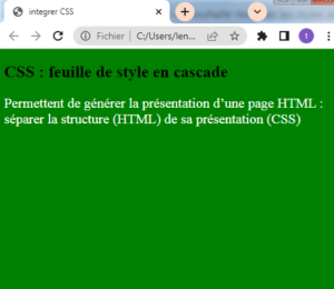Ajouter du CSS dans la balise HTML - TutoForYou